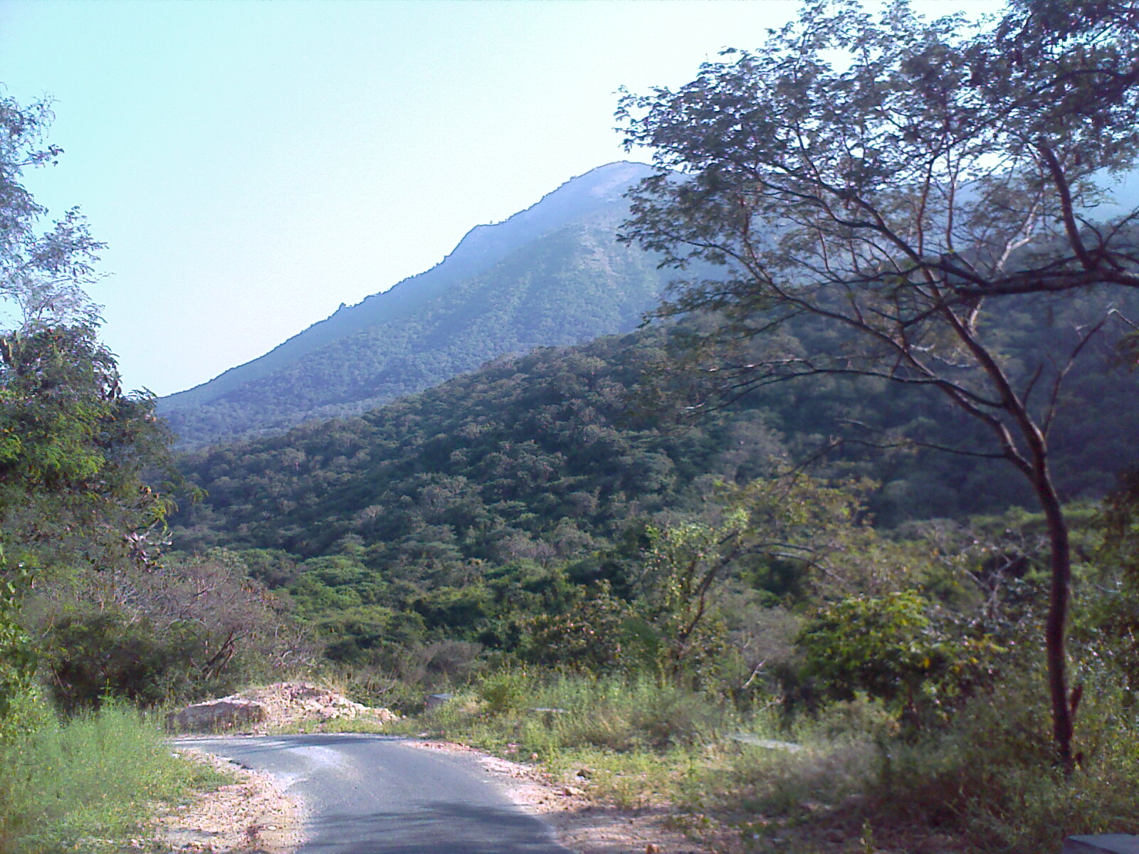 Palamalai - A Small hill near Coimbatore for the adventurous ...